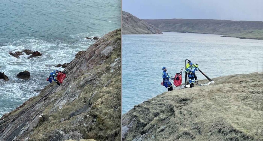Dog ‘Remarkably Unscathed’ After Plunging 100ft Down Cliff Face After a ...