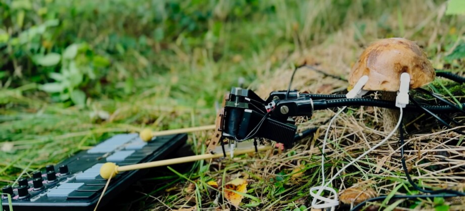 Bionic Arms Enable Mushrooms to Create Music Using Their Own Energy ...
