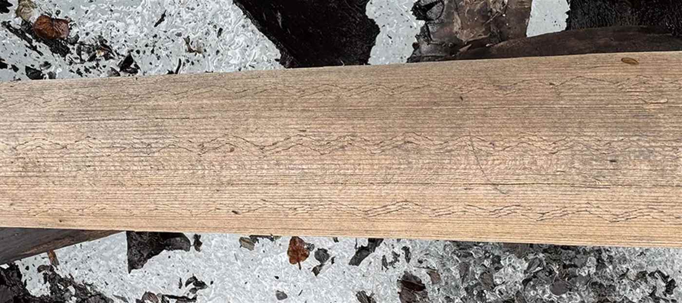 1,500 Year-Old Reindeer Trap and Hunting Equipment Uncovered in the Ice ...