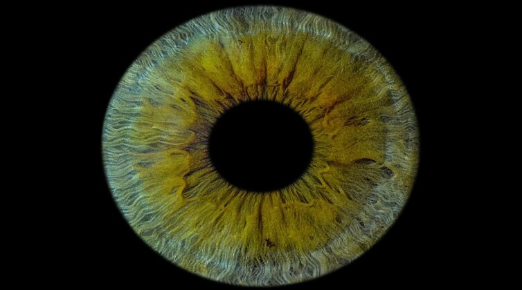 First Human Cornea Transplant Using 3D Printed, Lab-Grown Tissue ...