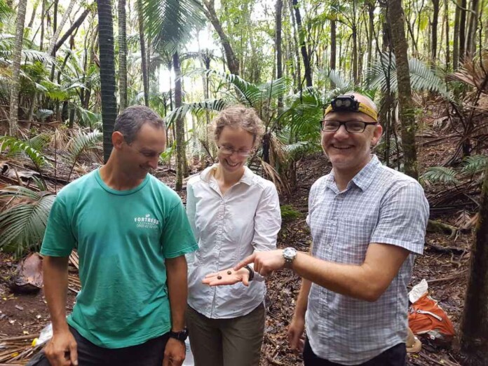 Thought Extinct, Snail Scientists Embark on Largest Snail Breeding and ...