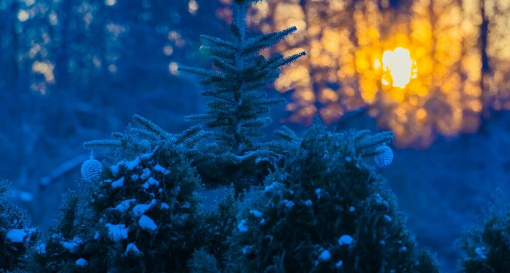 “There is a rejoicing that, even in the darkest time, the sun is not ...