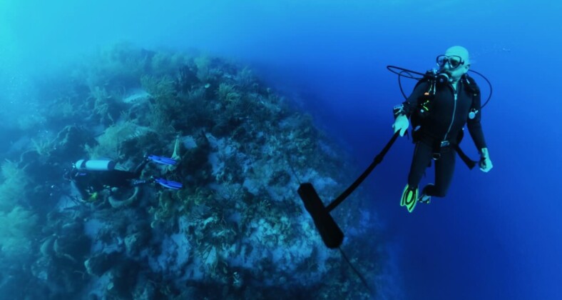 New Underwater Tool Lets Ecologists ID Fish From Their Sounds–46 Species So Far (LISTEN to 5 of ...