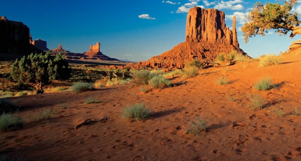 “What makes the desert beautiful is that somewhere it hides a well ...