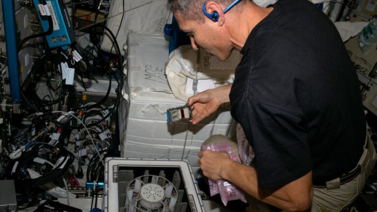 Scientists Successfully Mine Meteorites for Precious Metals on ...