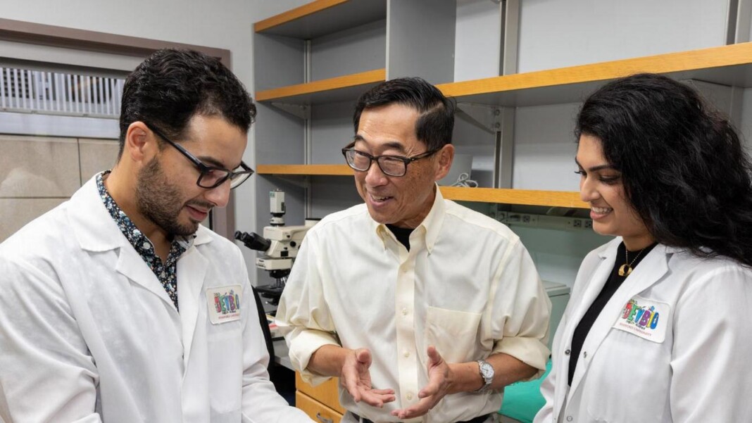 Stanford Cures Type-1 Diabetes in Mice Without Insulin or Immune ...