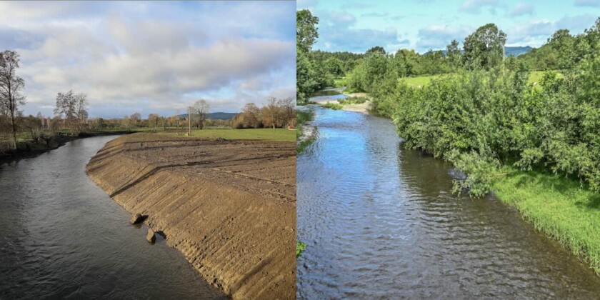 Nature’s Beauty is Restored After Farmer Obliterated Shoreline of ...